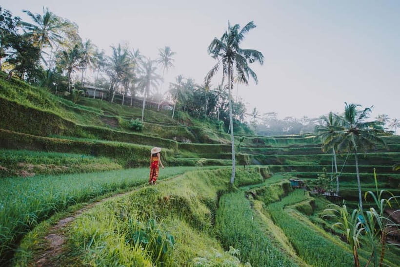 Ubud: Waterfall, Water Temple and Monkey forest Private Tour - The Sum Up