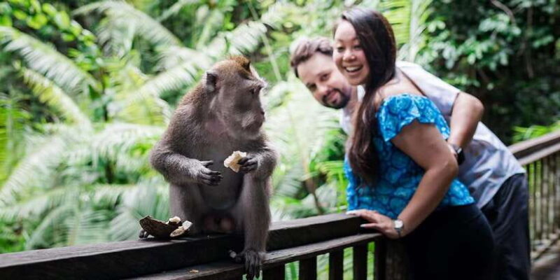 Ubud : Waterfall, Water Temple, Rice Terrace, Ubud Market - Traveler Reviews and Authentic Perspectives