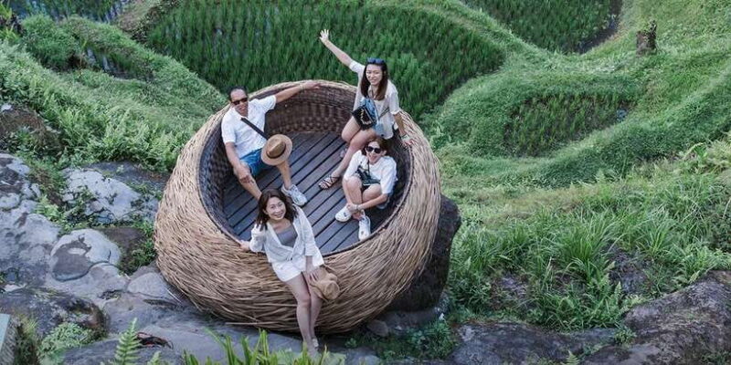 Ubud : Waterfall, Water Temple, Rice Terrace, Ubud Market - The Sum Up: Who Will Love This Tour?