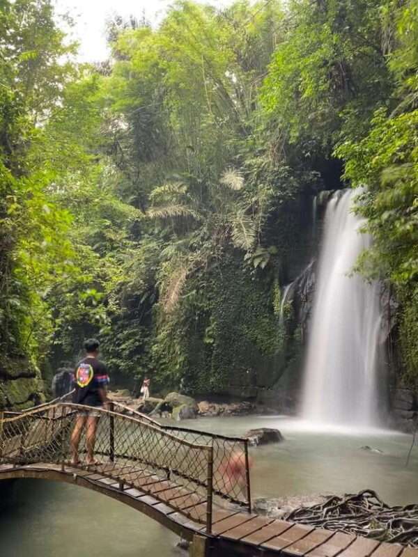 Ubud waterfalls adventure - Who Should Book This Tour?