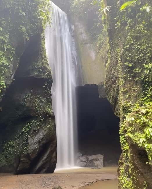 Ubud Waterfalls and Rice Terrace private Tour - Key Points