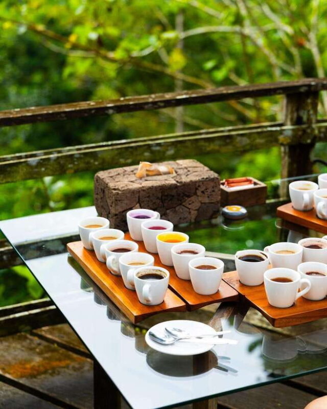 Ubud: Waterfalls and Tegalalang Rice Terrace private Tour - Key Points