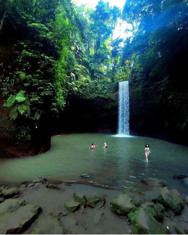 Ubud: Waterfalls and Tegalalang Rice Terrace private Tour - Final Thoughts
