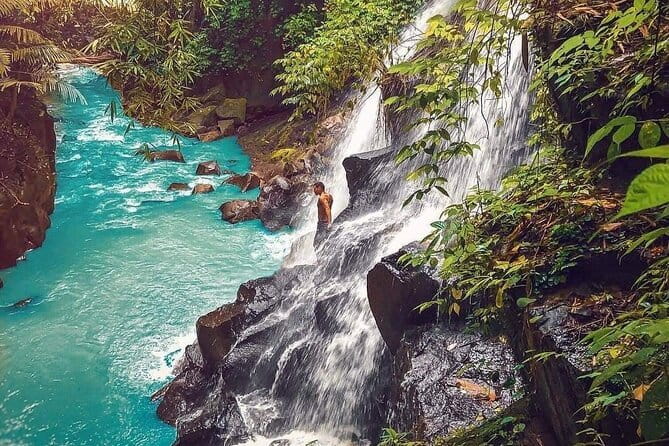 Ubud Waterfalls, Rice Terrace and Jungle Swing Tour - Who Should Consider This Tour?