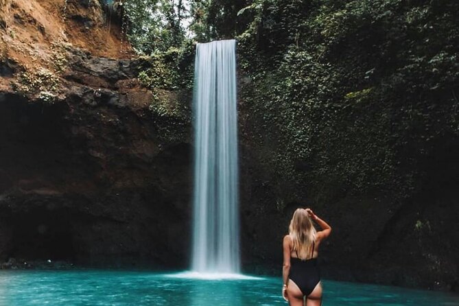 Ubud Waterfalls, Rice Terrace & Jungle Swing - Private Tour - The Sum Up: Who Will Get the Most Out of This Tour?