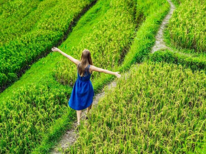 Ubud: Waterfalls, Sacred Monkey Forest & Rice Terraces Tour - Key Points