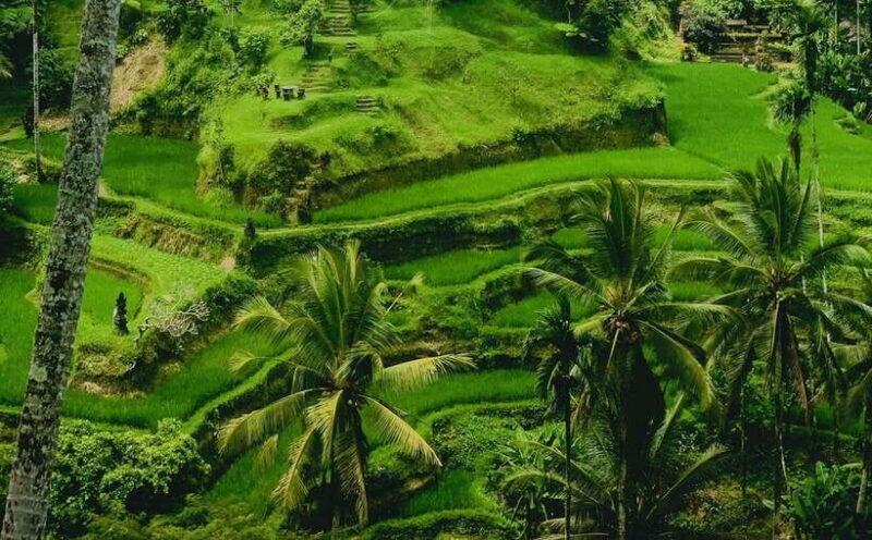 Ubud: Waterfalls, Sacred Monkey Forest & Rice Terraces Tour - Ulu Petanu Waterfall