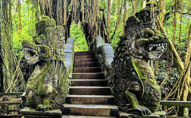 Ubud: Waterfalls, Sacred Monkey Forest & Rice Terraces Tour - Practical Considerations and Value