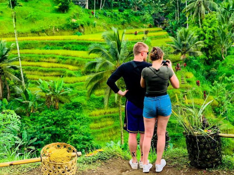 Ubud: Waterfalls, Sacred Monkey Forest & Rice Terraces Tour - Authentic Encounters and Local Culture