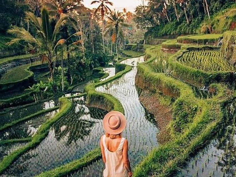 Ubud: Waterfalls, Temple, and Rice Terrace Private Day Tour - Wrapping Up the Day