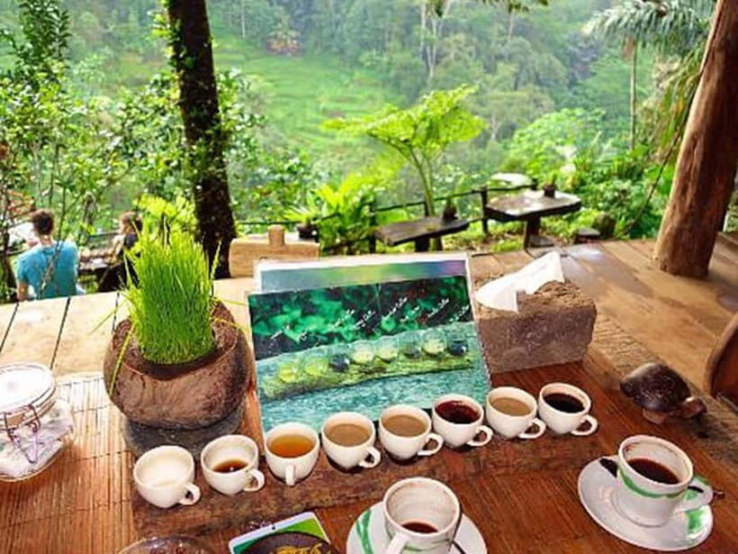 Ubud: Waterfalls, Temple, and Rice Terrace Private Day Tour - Practical Considerations