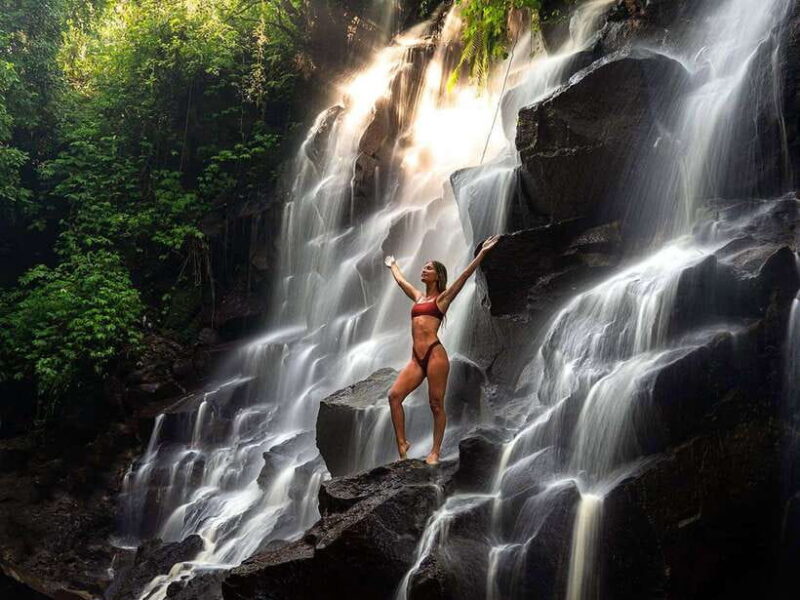 Ubud: Waterfalls, Temple, and Rice Terrace Private Day Tour - Who Should Consider This Tour?