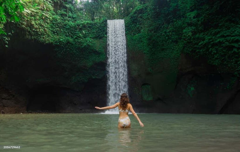 Ubud: Waterfalls, Temple, Monkey Forest Private Tour - Key Points