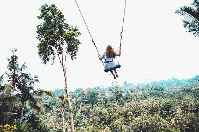 Ubud Waterfalls, Water Temple and Rice Terrace - Private Tour - Final Thoughts