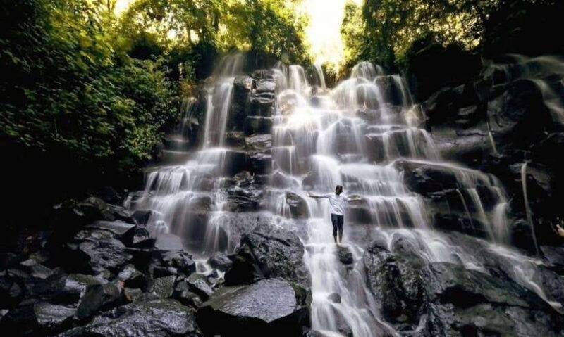 Ubud: Waterfalls, Water Temple & Rice Terraces Private Tour - What Makes This Tour Stand Out