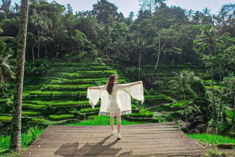 Ubud: Waterfalls, Water Temple & Rice Terraces Private Tour - The Sum Up