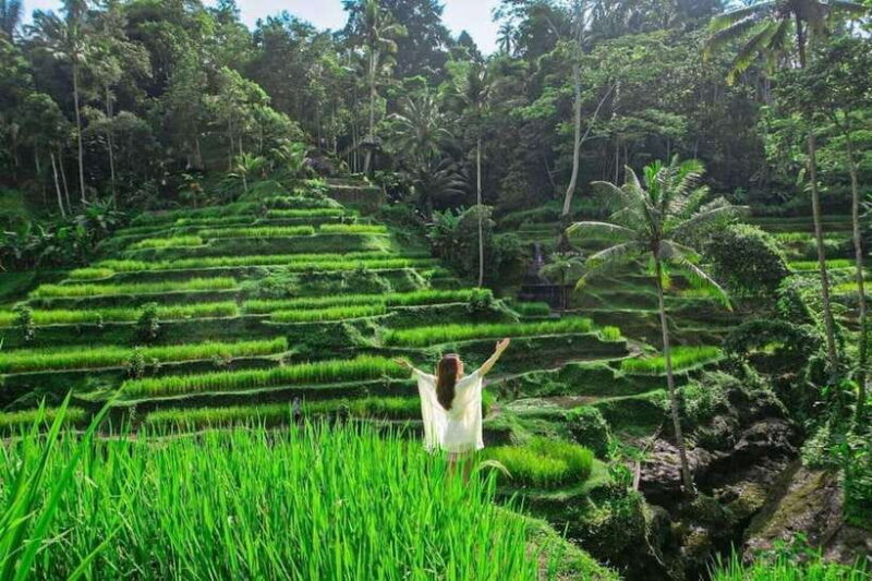 Ubud: Waterfalls, Water Temple & Rice Terraces Private Tour - Frequently Asked Questions
