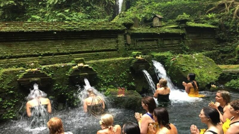 Ubud: Wellness Retreat with Massage, Yoga Class, and Lunch - Yoga in the Heart of Nature