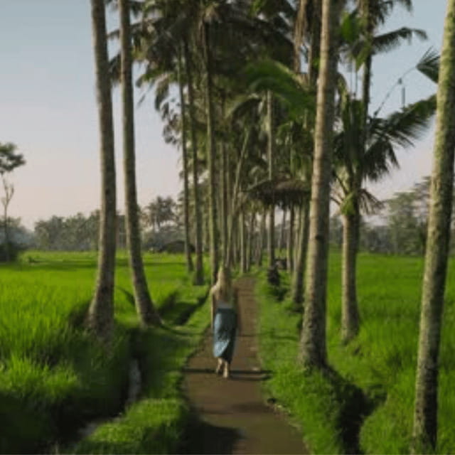 Ubud:Cultural day tour with traditional Balinese house visit - Key Points