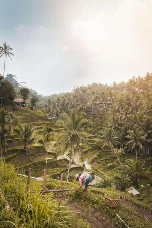 Ubud:Monkey Forest, Rice Terraces, Water Temples, Waterfalls - FAQ