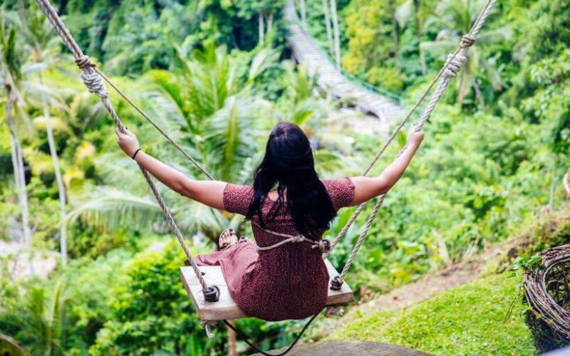 Ubud:private tour riceterace&swing waterfall& tirta empul - Key Points