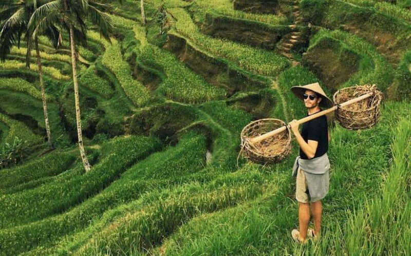 Ubud:private tour riceterace&swing waterfall& tirta empul - Practical Details: What You Need to Know