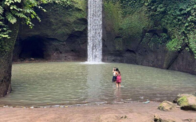 Ubud:private tour riceterace&swing waterfall& tirta empul - Who Will Love This Tour?