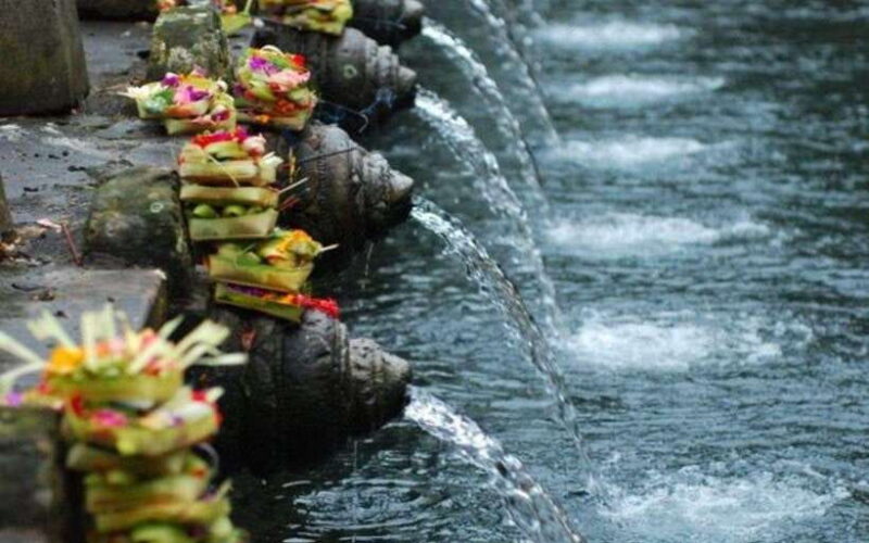 Ubud:private tour riceterace&swing waterfall& tirta empul - FAQ