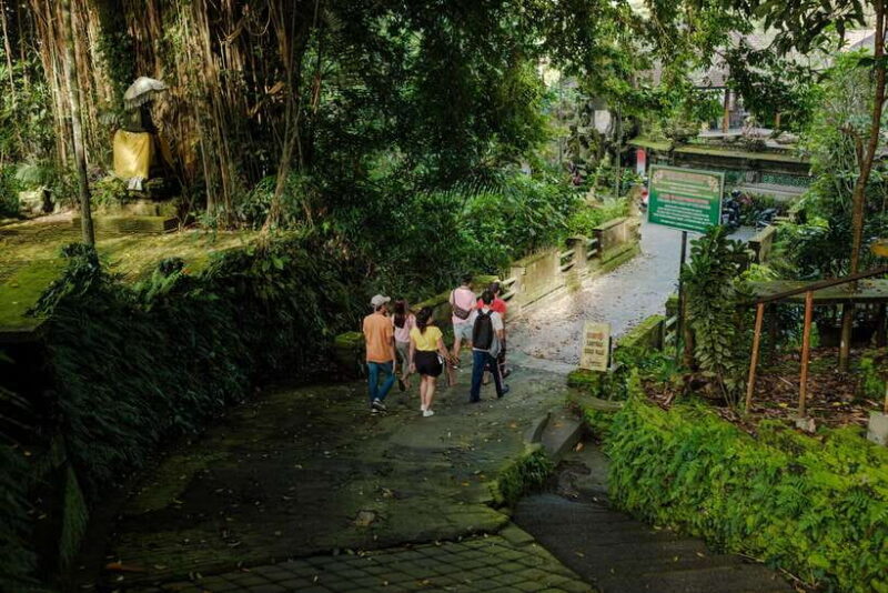 Ubud's Journey from Past to Present - What to Expect on the Tour