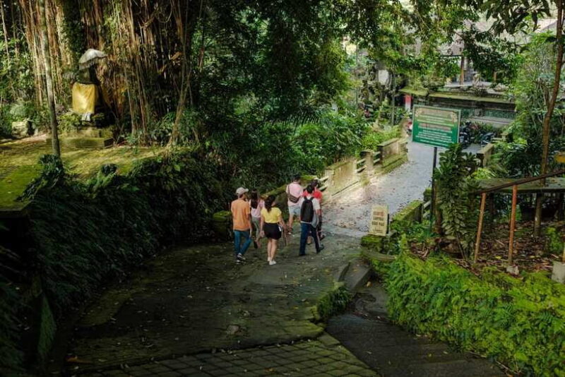 Ubud's Journey from Past to Present - Who Should Consider This Tour?