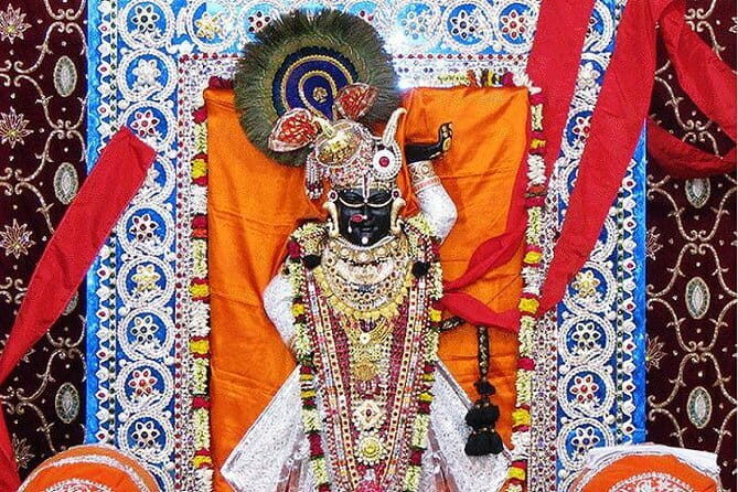 Udaipur: Excursion to Tiger Lake (3 Hours Guided Walking Tour) - Who Should Consider This Tour?
