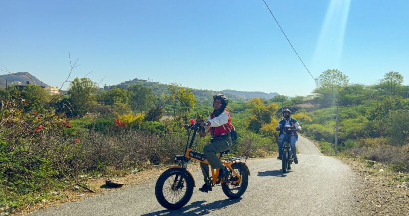 Udaipur: Off-the-Beaten Path Guided E-Bike Tour - The Value of This Tour