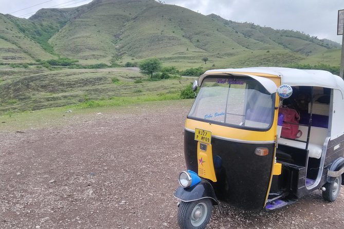 Udaipur Sightseeing Day Tour with Professional Guide - A Practical Look at the Udaipur Day Tour