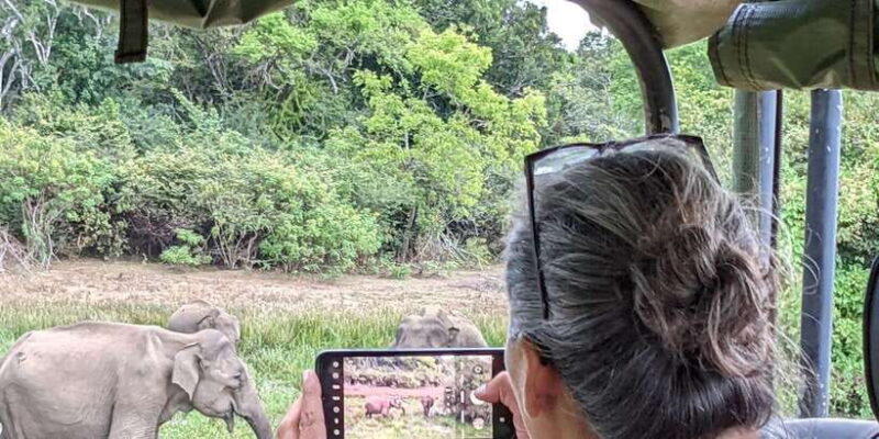 Udawalawa National Park - 4*4 Private Safari Jeep Tour - Considerations and Tips