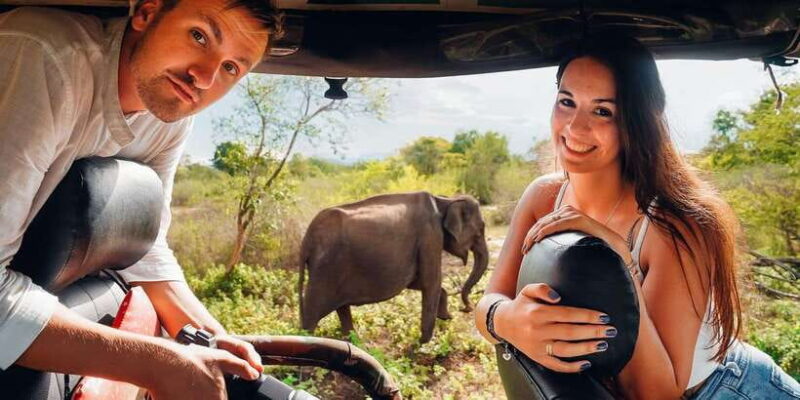 Udawalawa National Park: All-Inclusive Private Day Tour - Why This Tour Works Well