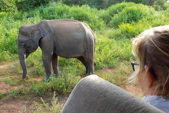 Udawalawa National Park half day Safari - Who Would Love This Safari?