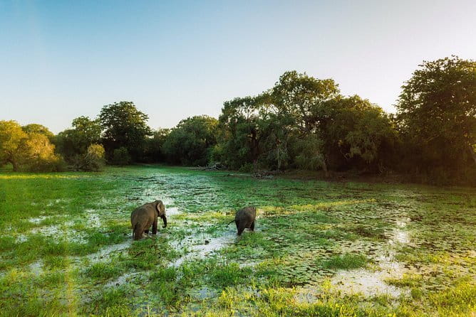 Udawalawa National Park & Orphanage Visit from Hambantota Port - FAQ