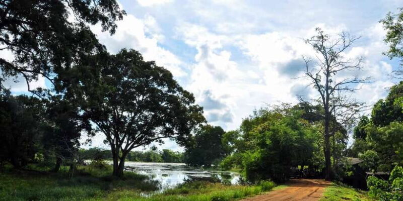 Udawalawa National Park: Private Safari - Practical Tips for Travelers