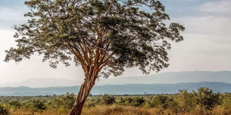 Udawalawa National Park: Private Safari - FAQ