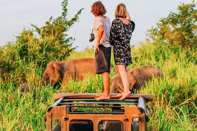 Udawalawa National Park Safari - Introduction: A Well-Rounded Day of Nature and Culture