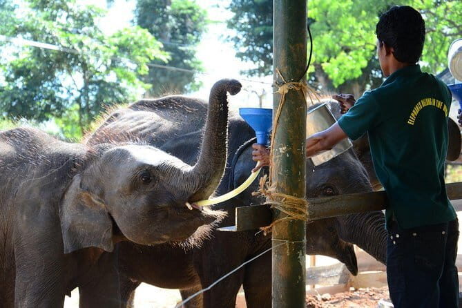 Udawalawa National Park Safari - Who Should Consider This Tour?
