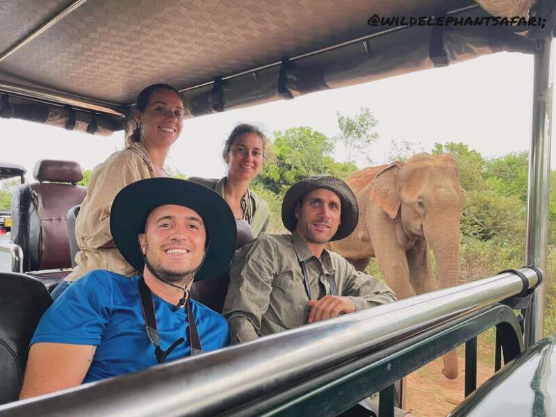 Udawalawa National Park: Safari & Elephant Transit Home Tour - Deep Dive Into the Itinerary