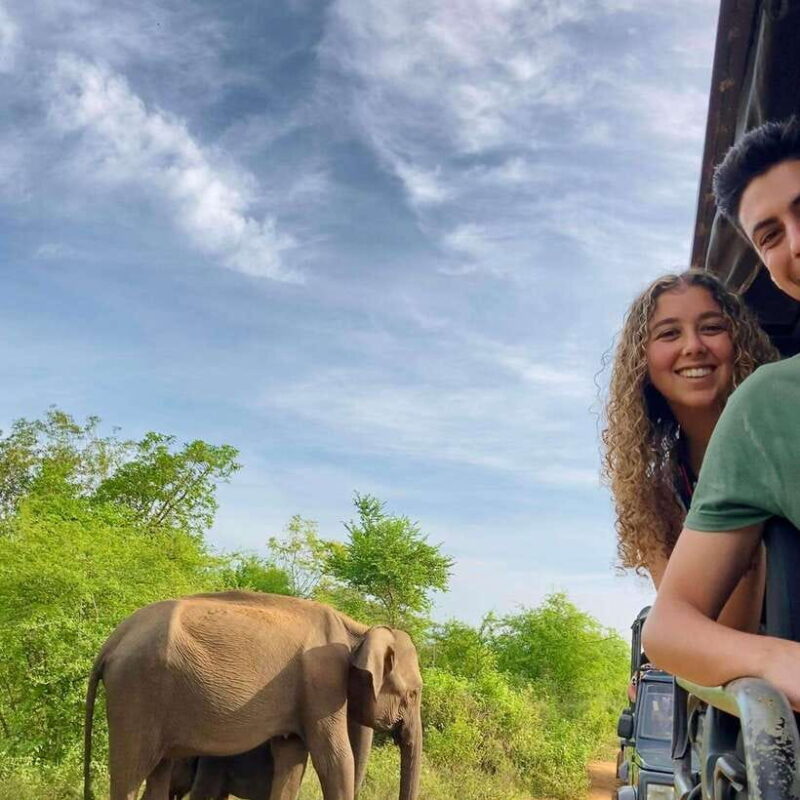 Udawalawa National Park: Safari & Elephant Transit Home Tour - Authentic Experiences and Traveler Insights