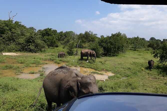 udawalawa One Day Tour - Key Points