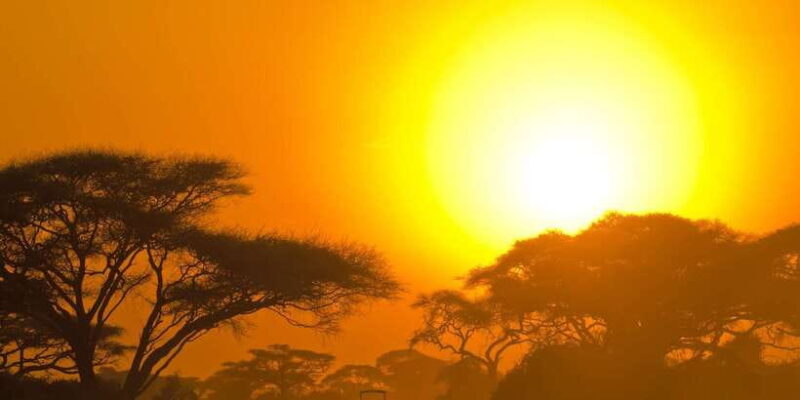 Udawalawa: Private Udawalawa National Park Safari Tour - Key Points