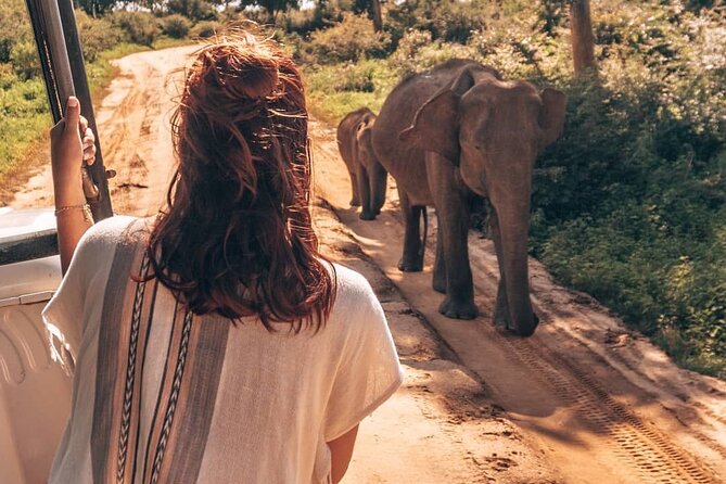 Udawalawa Safari Drive From Galle, Weligama, Mirissa & Dickwella - Authentic Reviews and Insights