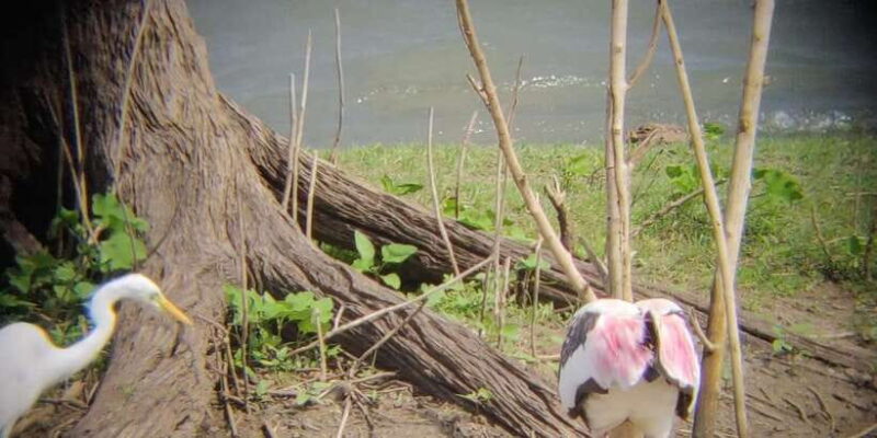 Udawalawe National Park | Full day-10 Hours | All Inclusive - FAQ