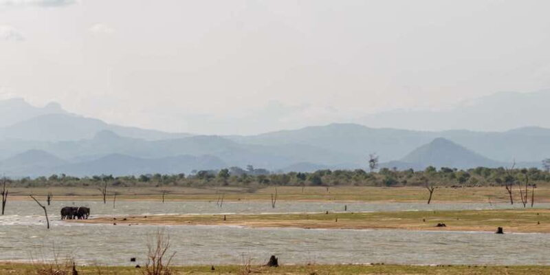 Udawalawe National Park Private Full-Day Safari - An In-Depth Look at This Safari Adventure