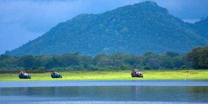 Udawalawe National Park Private Full-Day Safari - FAQ