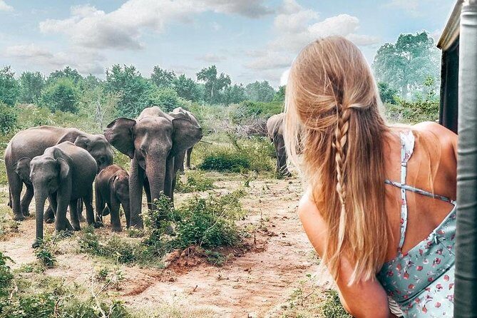 Udawalawe National Park Private Safari - FAQ